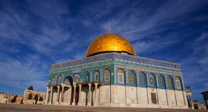 Al Mustafa Trips | Al Mustafa Welfare Trust